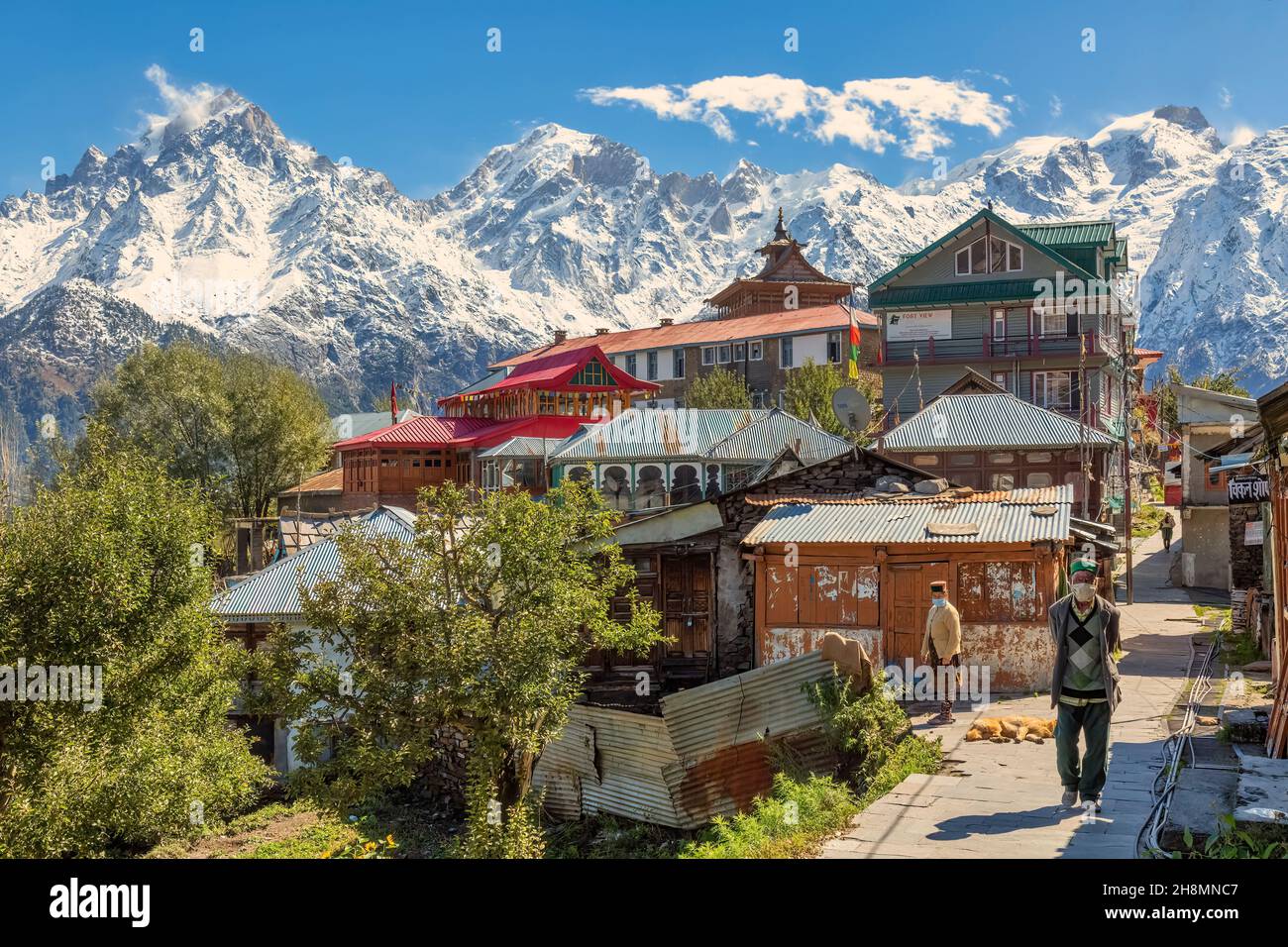 Scenic Himachal village at Kalpa with majestic Kinnaur Kailash Himalaya ...