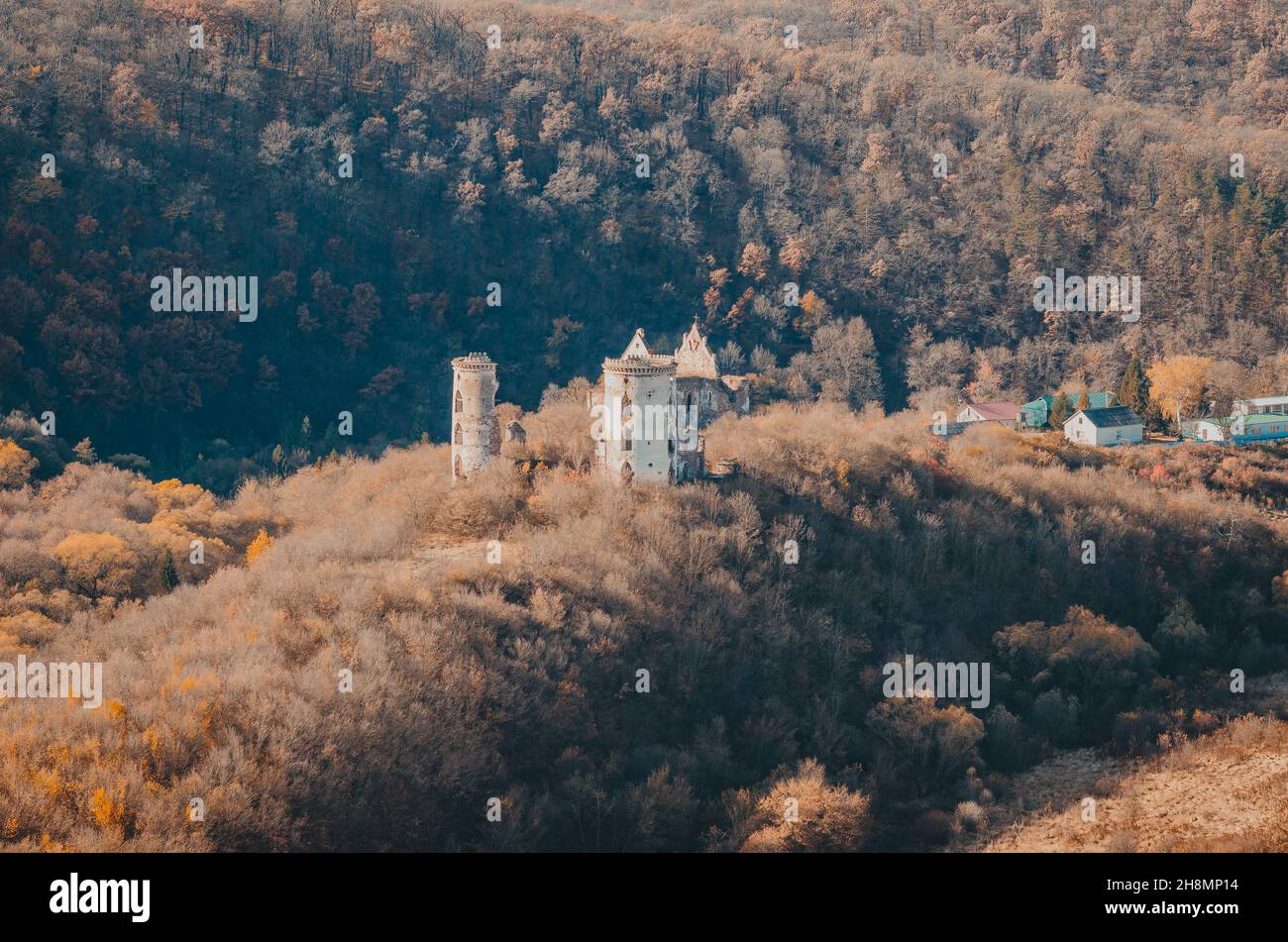 Ancient ruined castle in woods. Mystical building. Impassable thickets ...