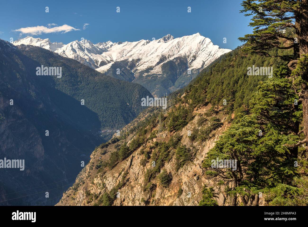 Scenic landscape at Kalpa hill station of Himachal Pradesh with forests ...
