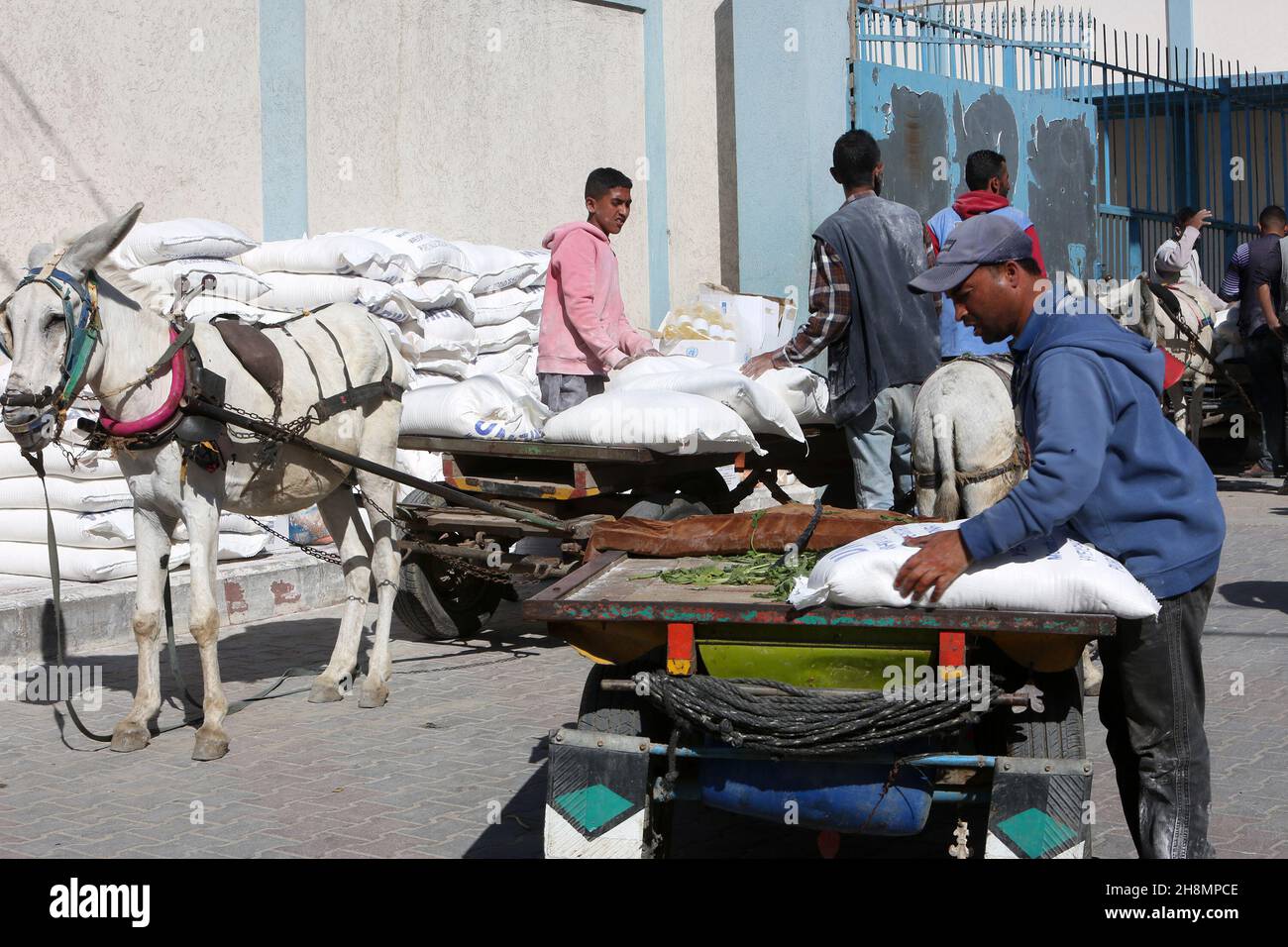 Palestinians receiving food aid for the new cycle from a UN (UNRWA ...