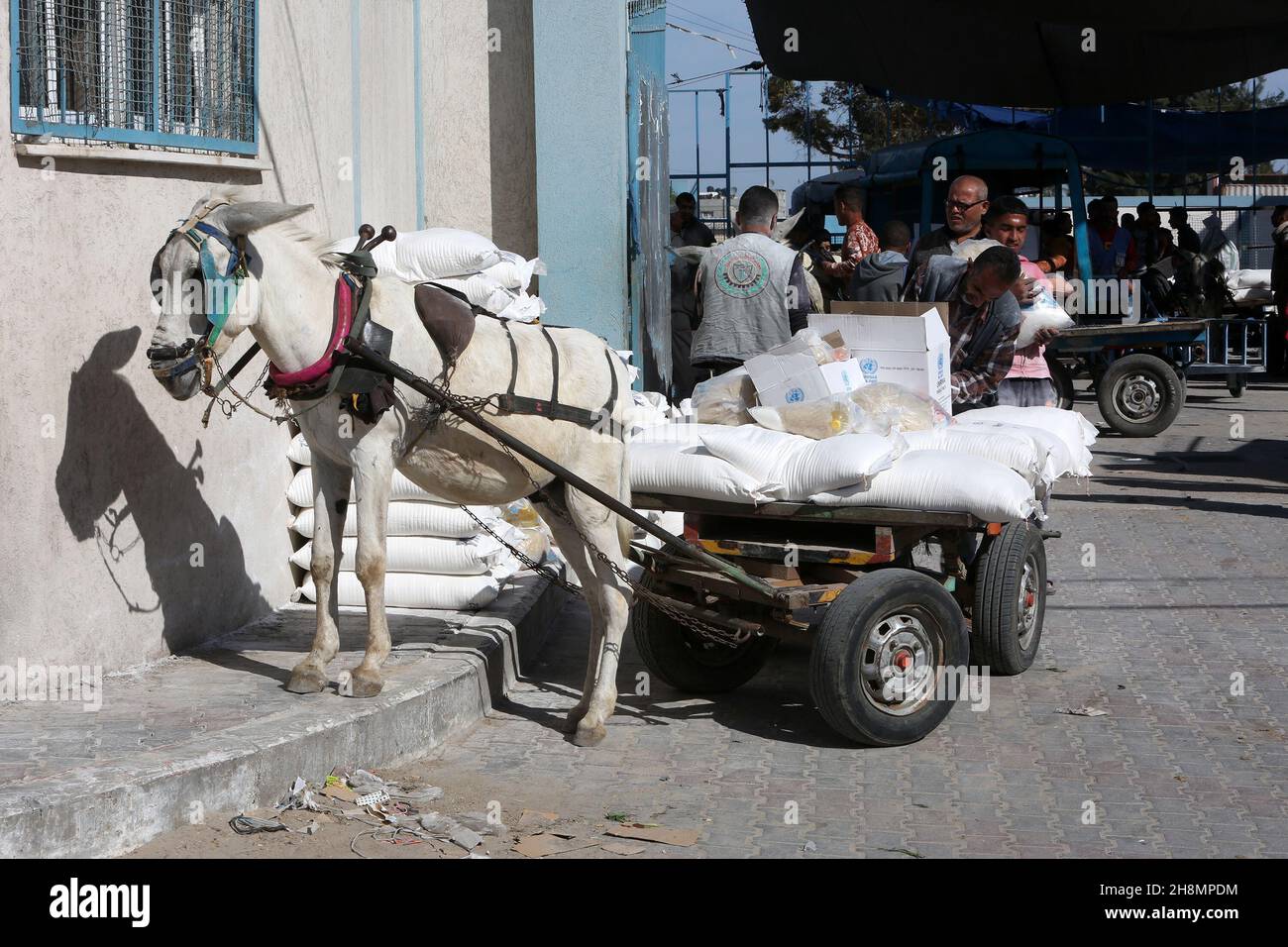 Palestinians receiving food aid for the new cycle from a UN (UNRWA ...