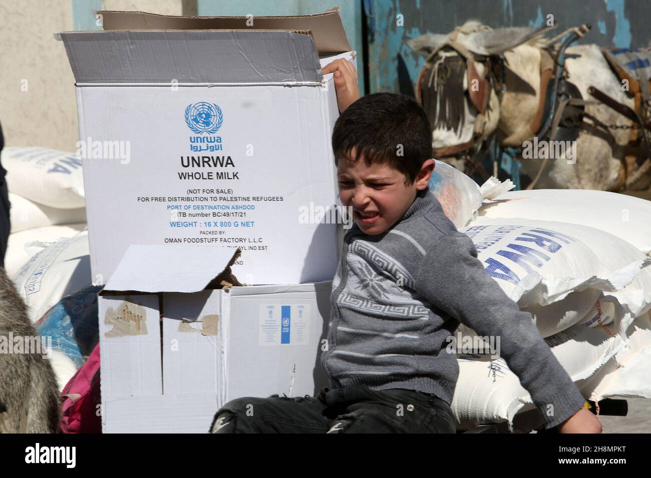 Palestinians receiving food aid for the new cycle from a UN (UNRWA ...