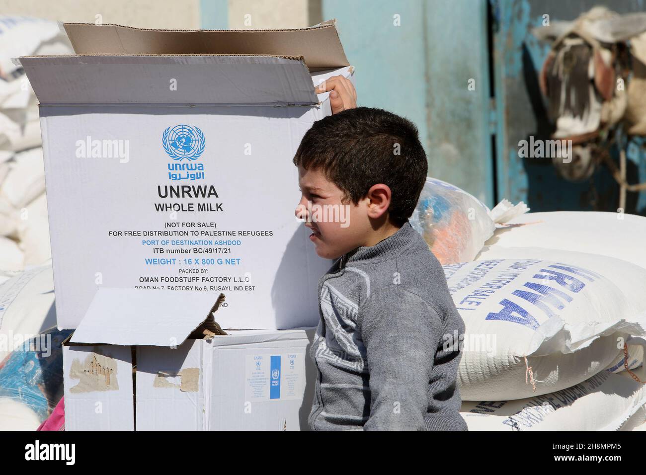 Palestinians receiving food aid for the new cycle from a UN (UNRWA ...