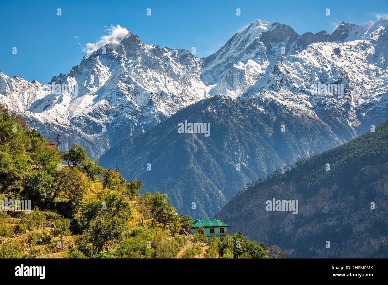 Scenic landscape at Kalpa hill station of Himachal Pradesh with forests ...