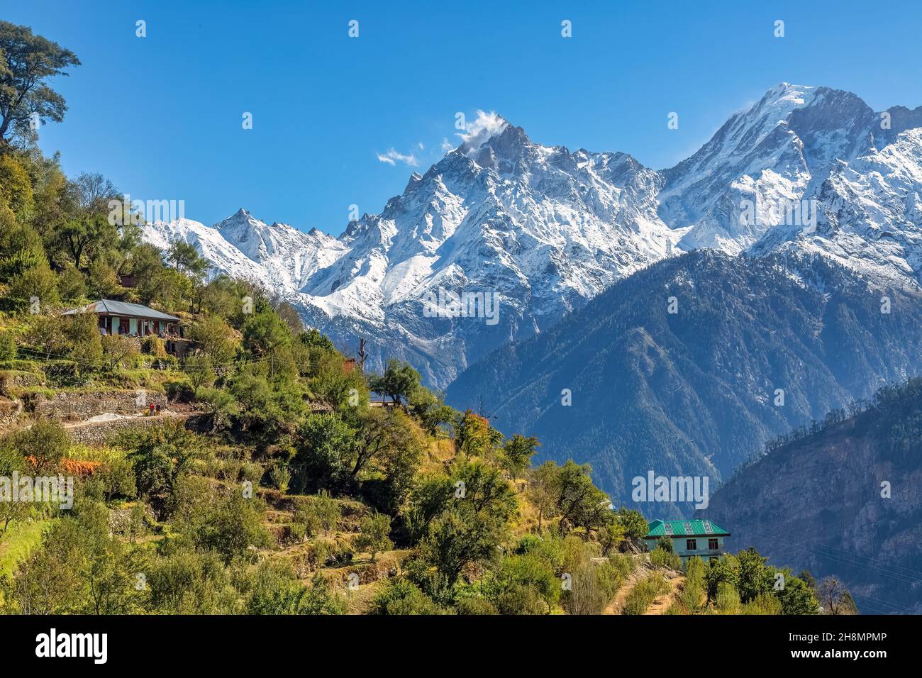 Scenic landscape at Kalpa hill station of Himachal Pradesh with forests ...