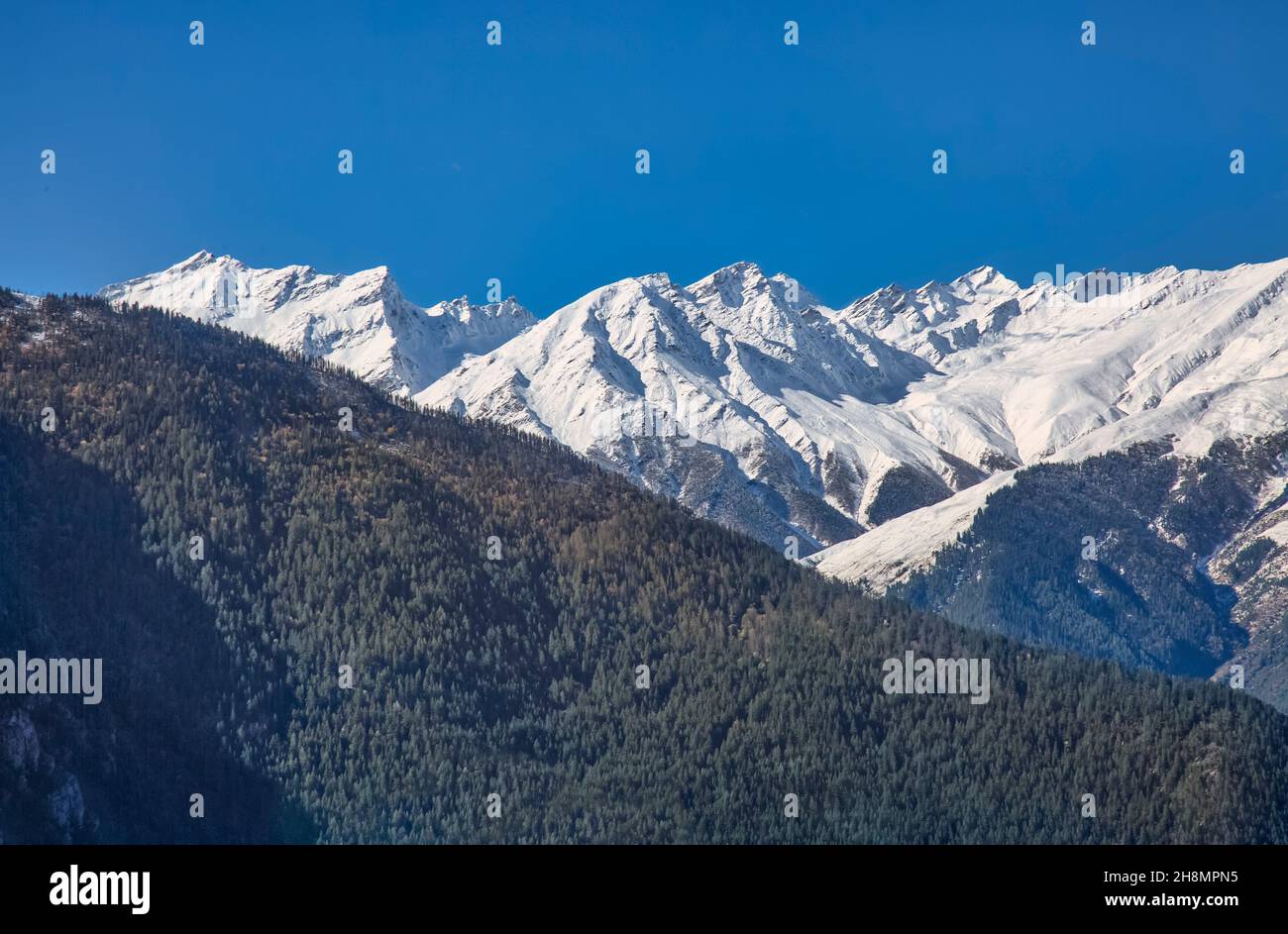 Scenic landscape at Kalpa hill station of Himachal Pradesh with forests ...