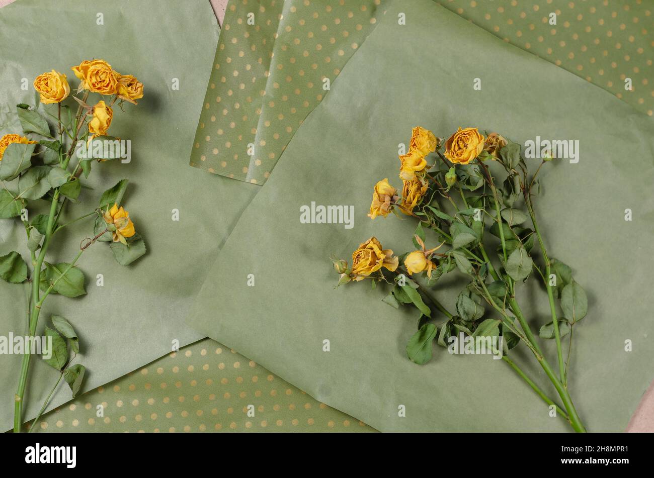 Weak Saturation High Resolution Stock Photography and Images - Alamy