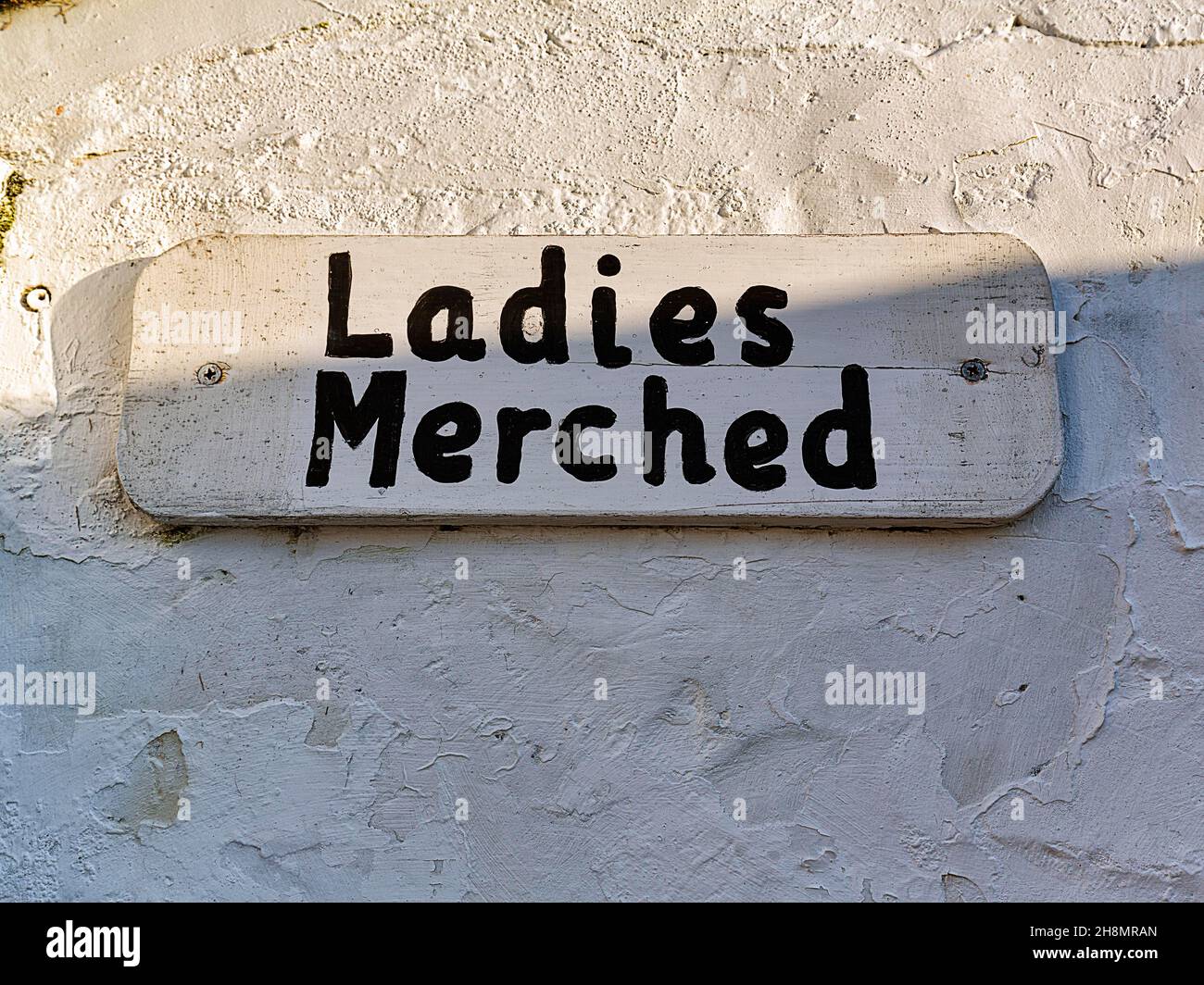 Bilingual sign on a ladies' toilet with the inscription Ladies, Merched ...