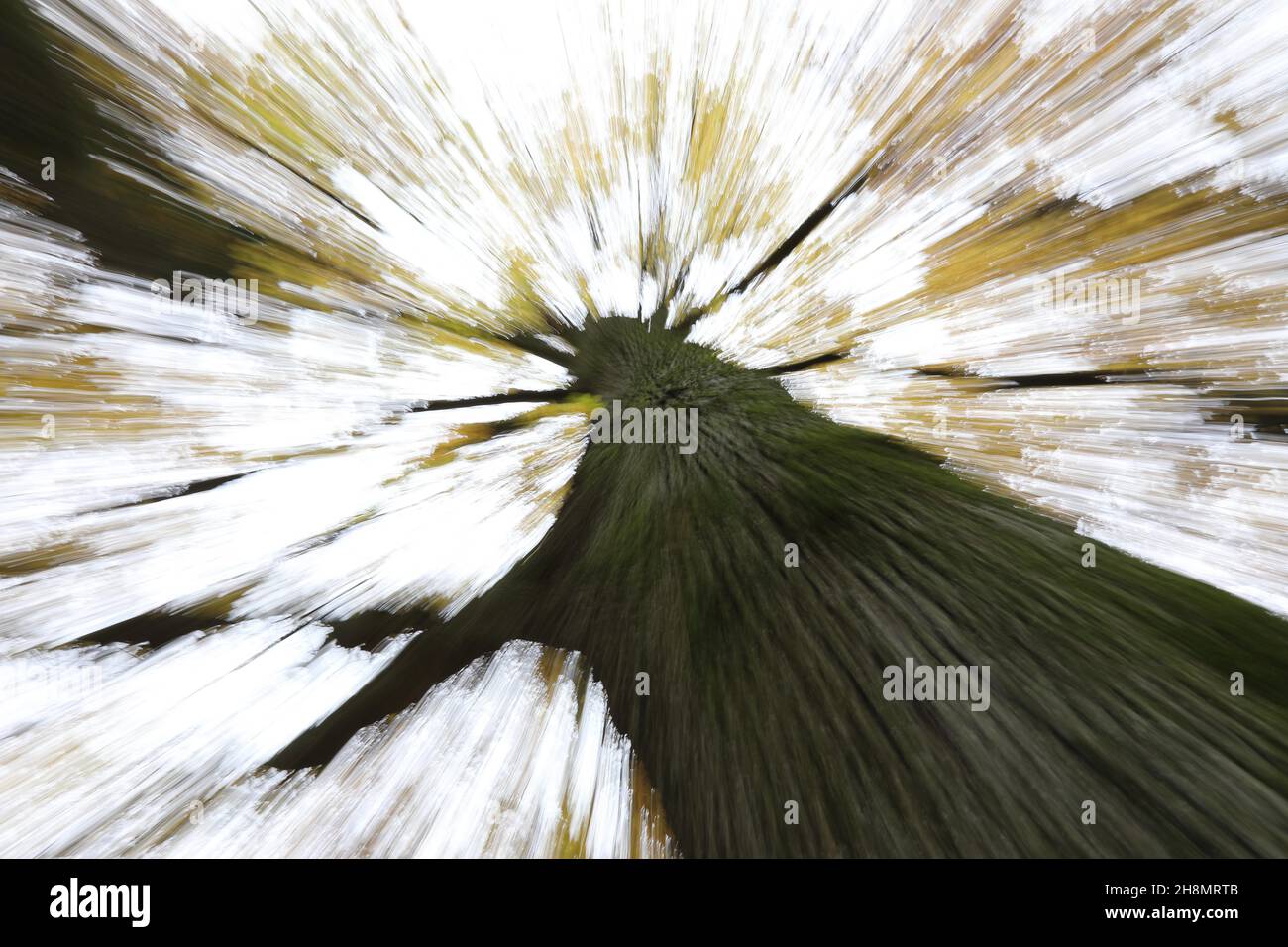 Abstract photography zoom hi-res stock photography and images - Alamy