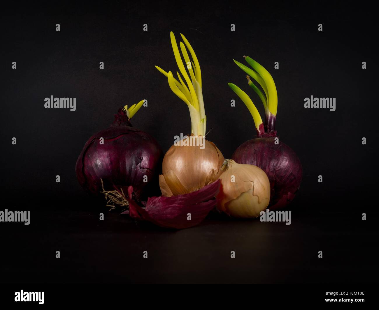 White still life hi-res stock photography and images - Alamy