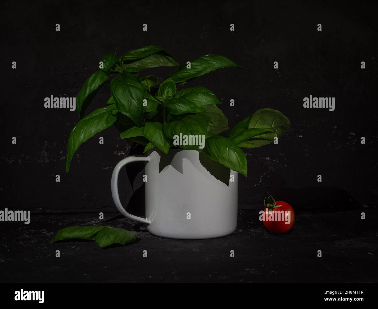Still Life with Basil in an Enamel Cup and Tomato Stock Photo - Alamy