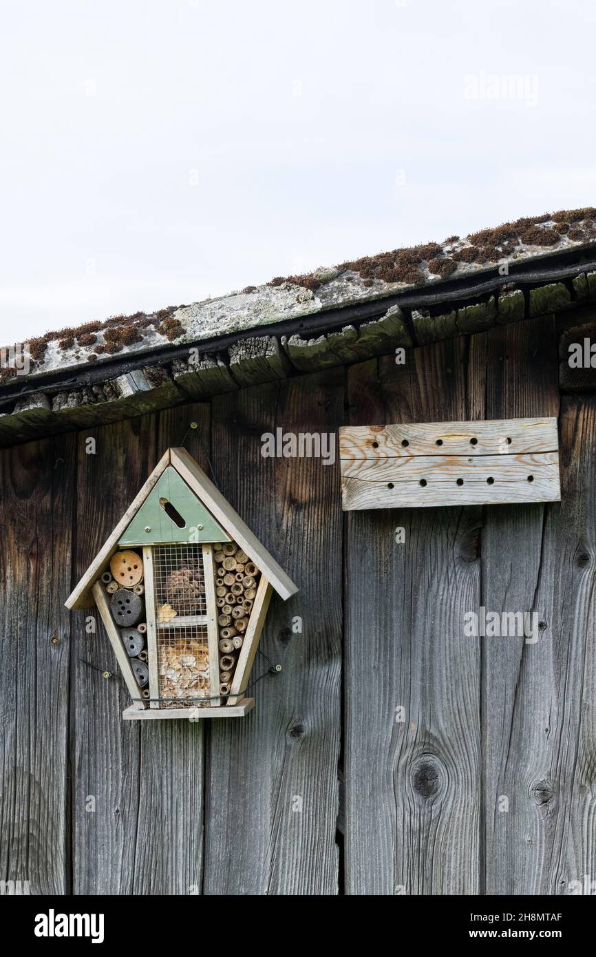 Insect hotel wall hi-res stock photography and images - Alamy