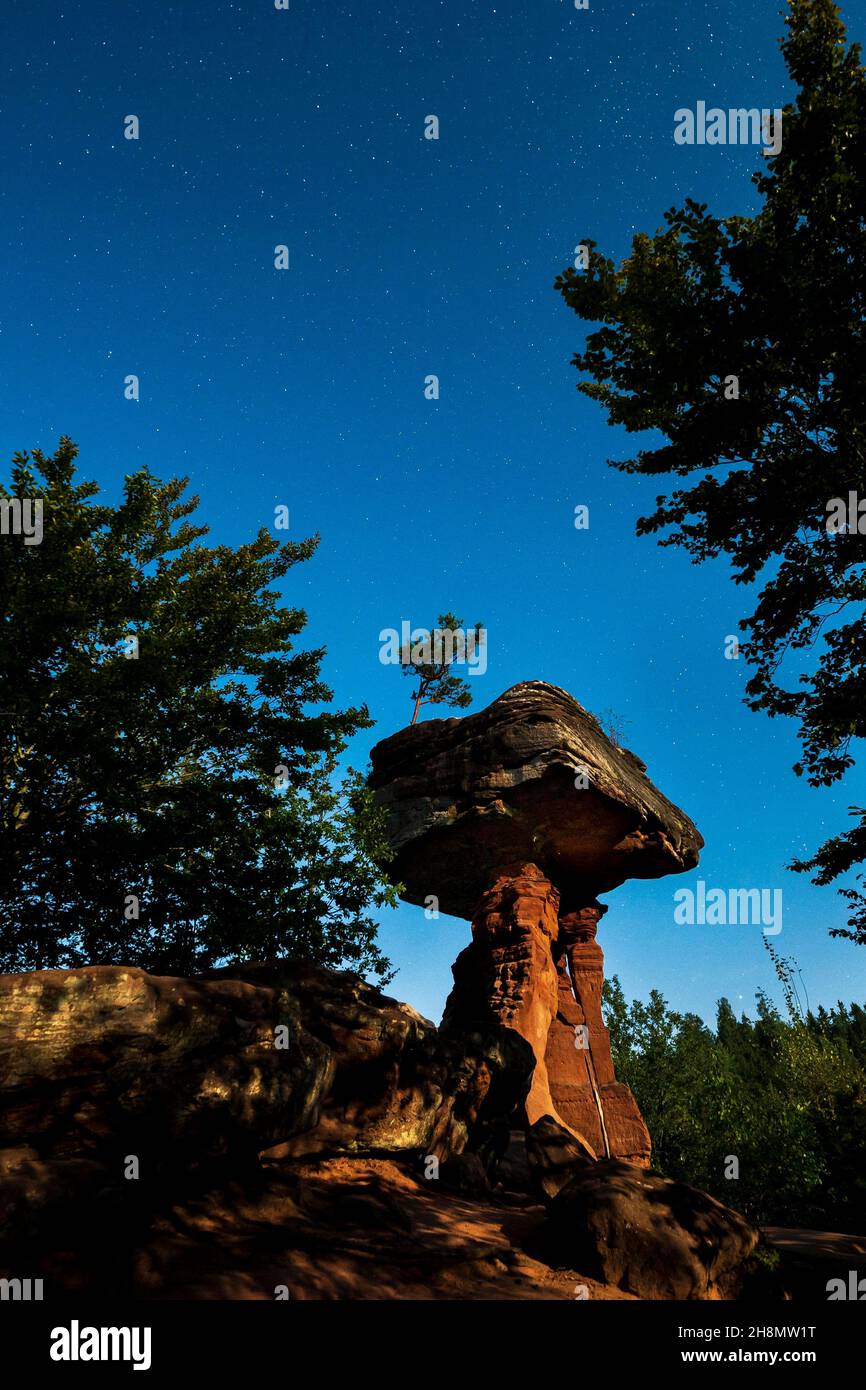 Remarkable rock forest reserve hi-res stock photography and images - Alamy