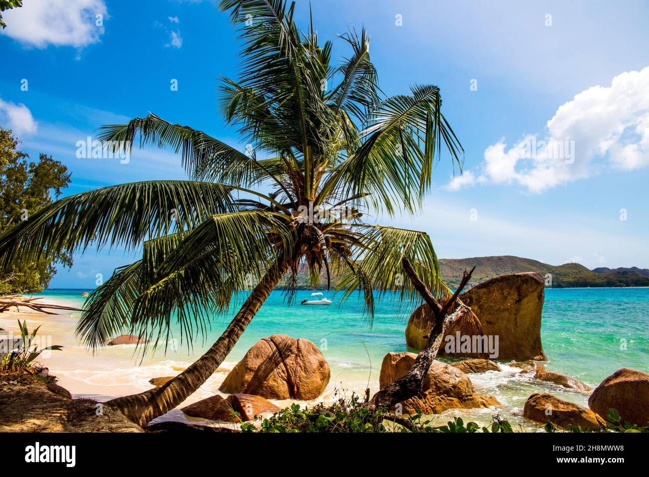 Dream beach with granite rocks and palm trees, Anse Boudin, Praslin ...