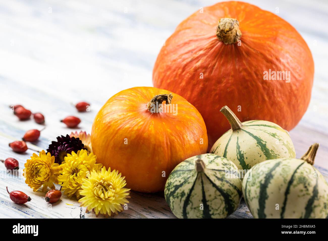 Harvest celebration dried produce hi-res stock photography and images ...