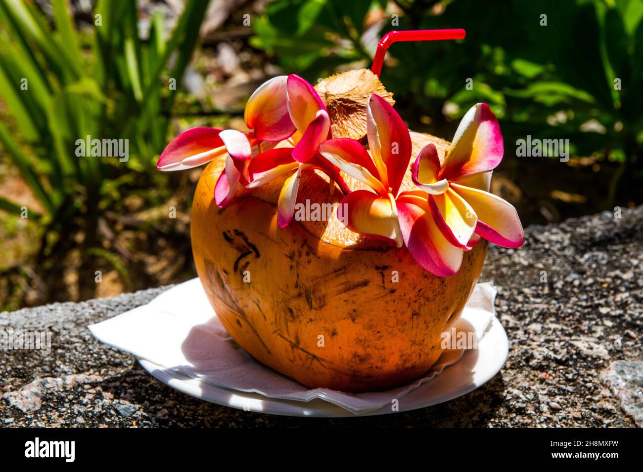 Tropical fruit seychelles hi-res stock photography and images - Alamy