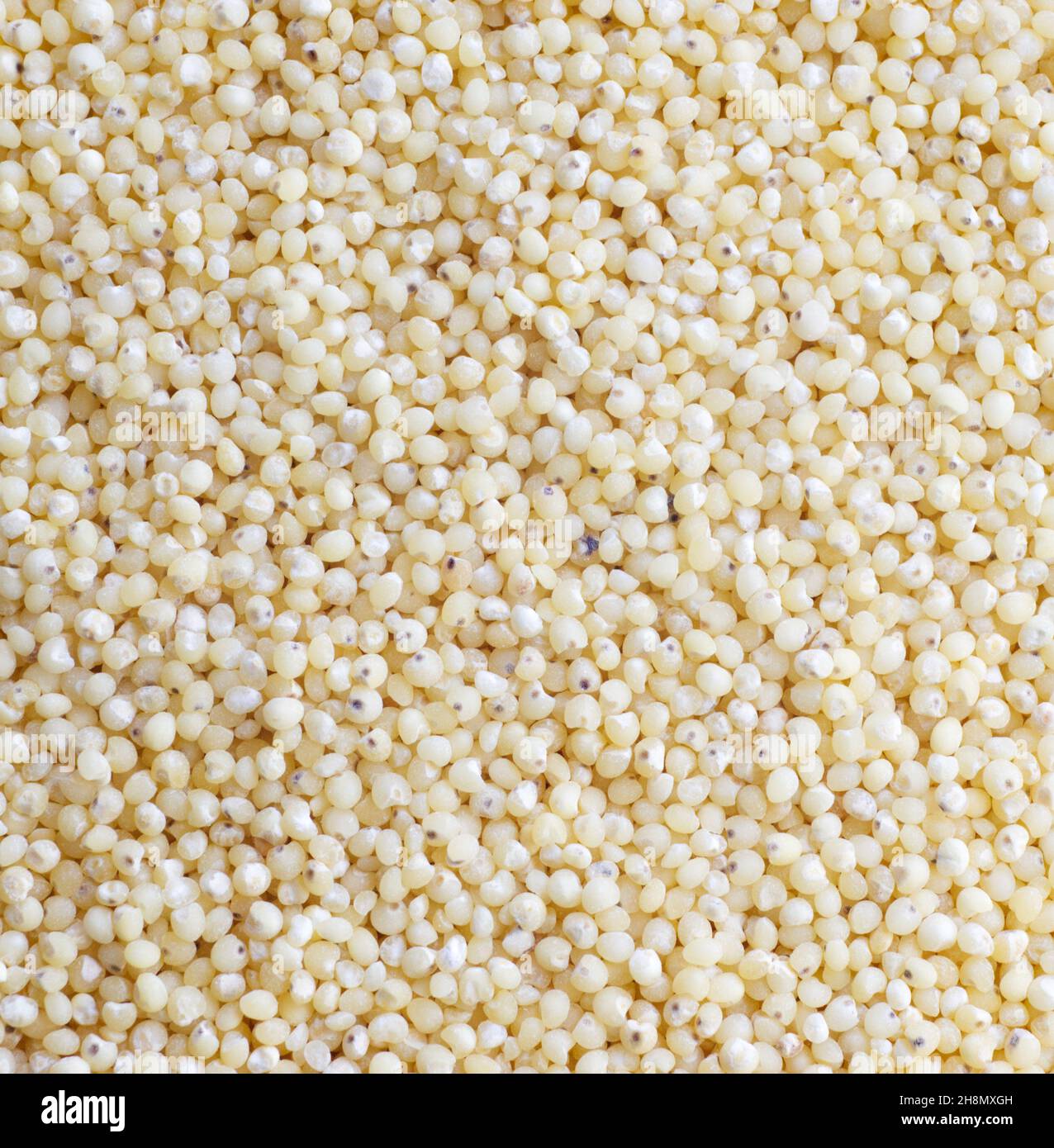 barley food natural Stock Photo - Alamy