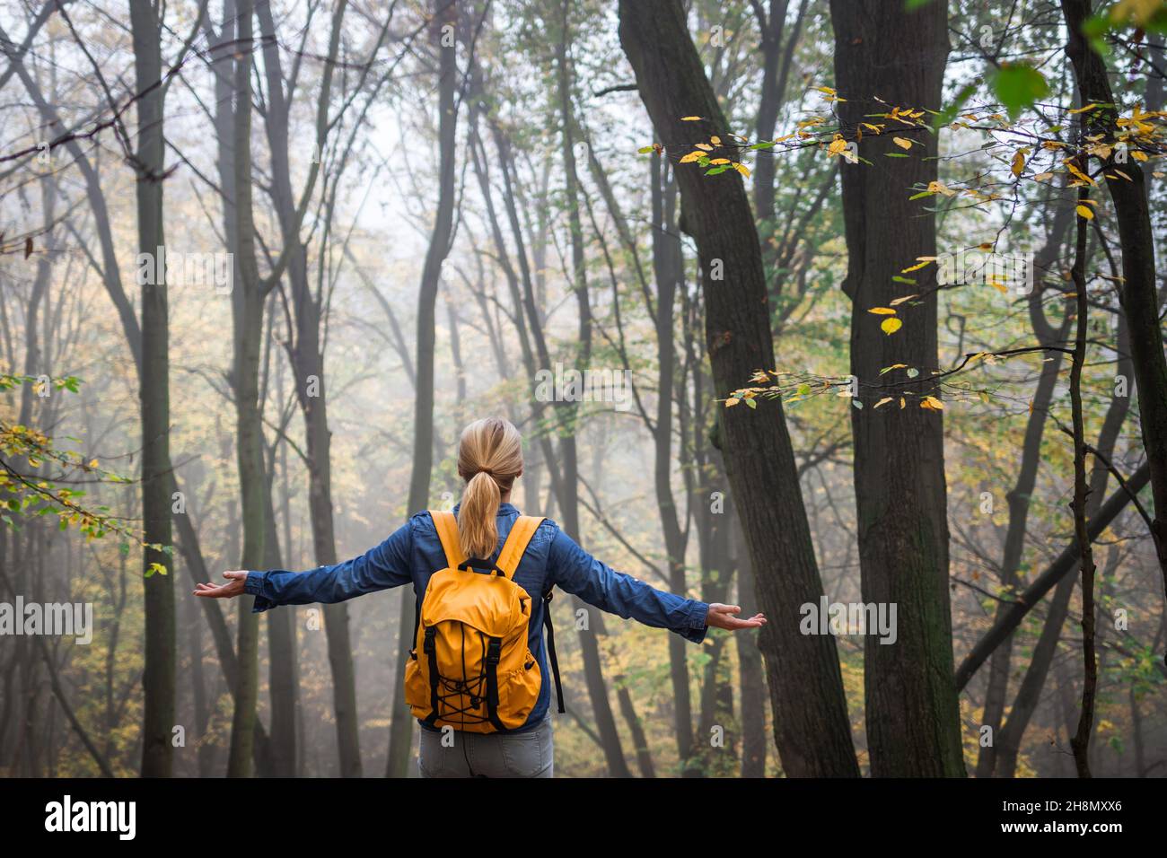 Enjoyment of nature. Woman traveler with arms outstretched standing at autumn foggy forest ...