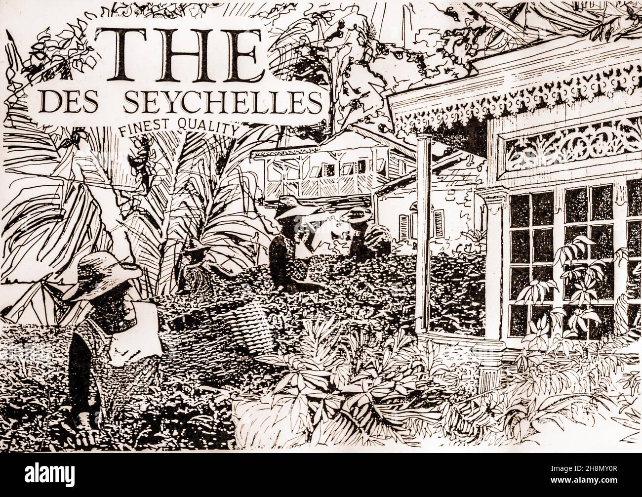 Indian tea museum hi-res stock photography and images - Alamy