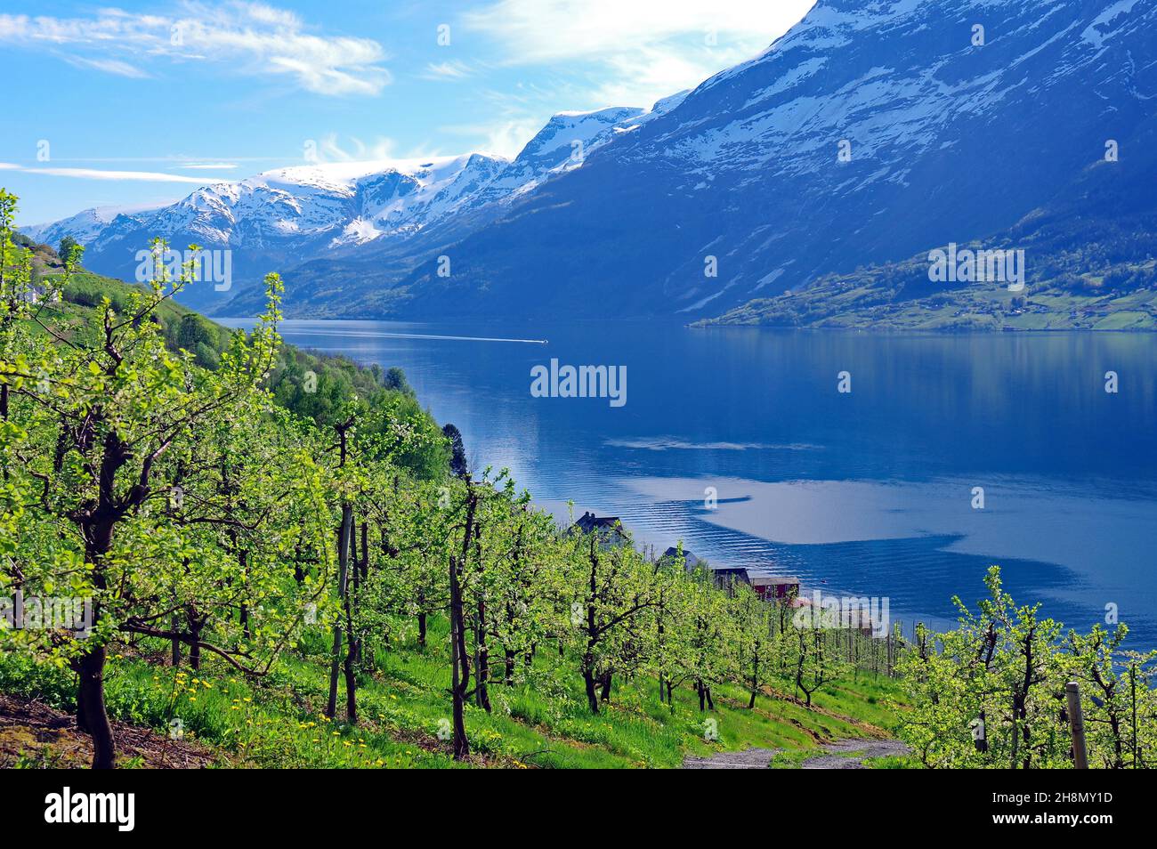 Lofthus hi-res stock photography and images - Alamy