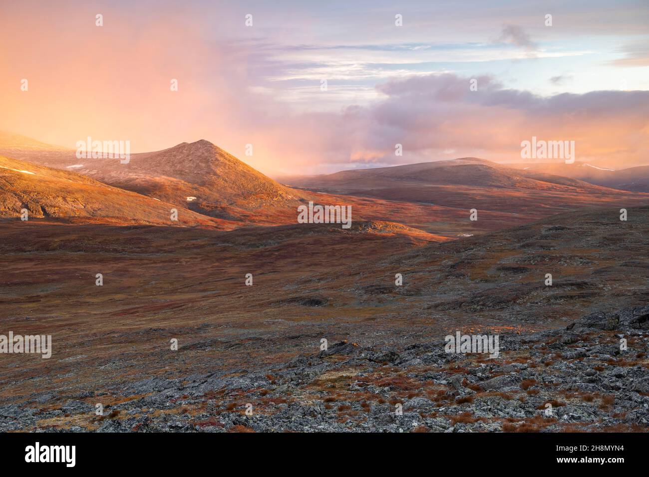 Autumn fell landscape, Sarek National Park, Laponia, Lapland, Sweden ...