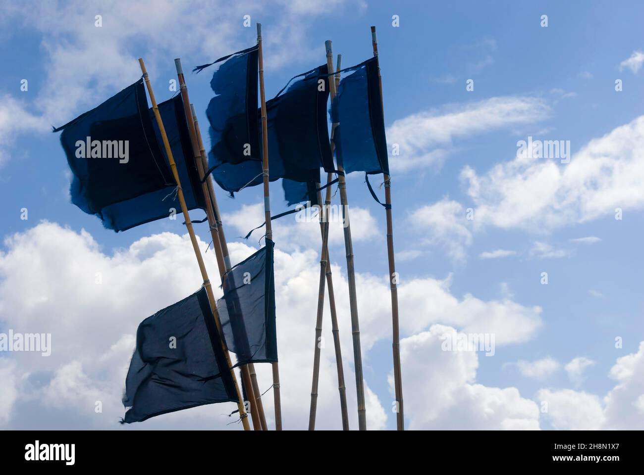 Flags and pennants to mark nets and fish traps laid out in the harbour ...