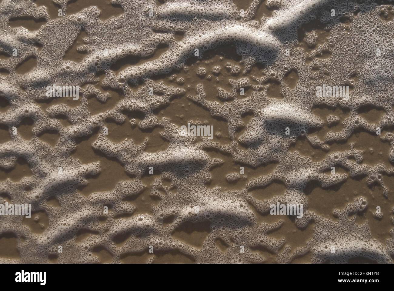 Foam formation due to wind and waves on the beach, Henne Strand ...