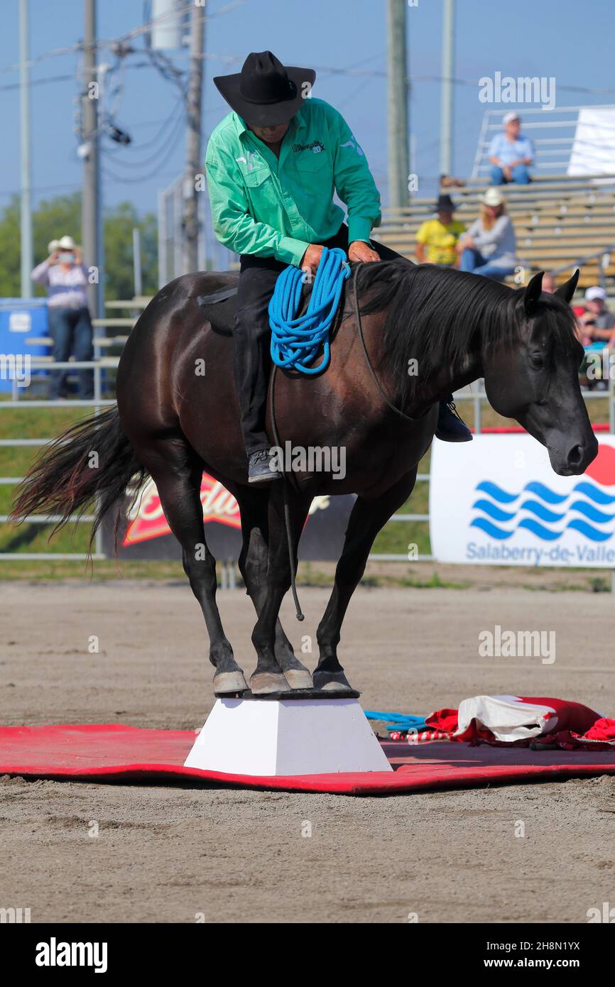 Mustang Showtime at the Rodeo, Valleyfield, Province of Quebec, Canada ...
