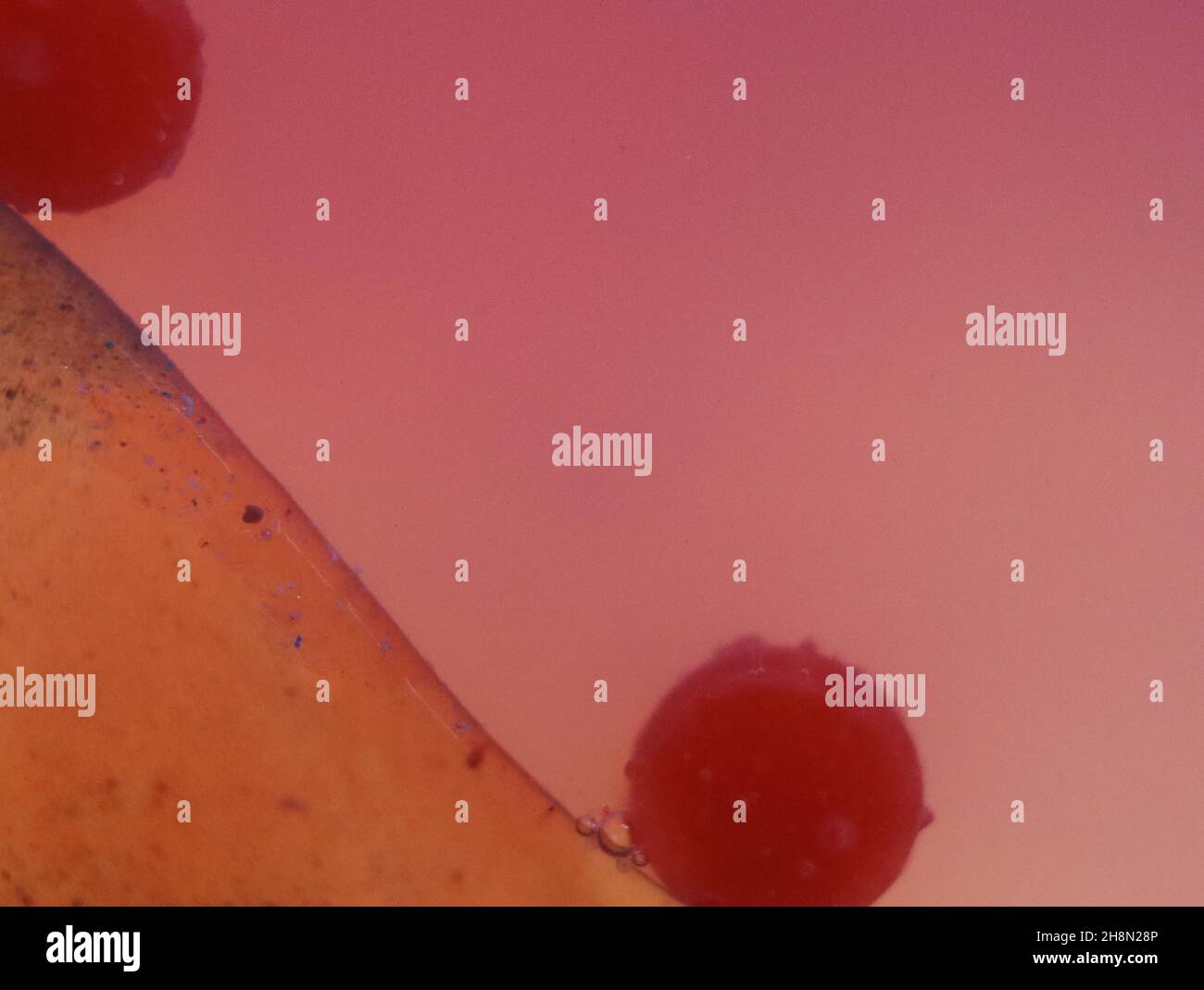 Abstract macro shot of small liquid particles in red and orange on the ...