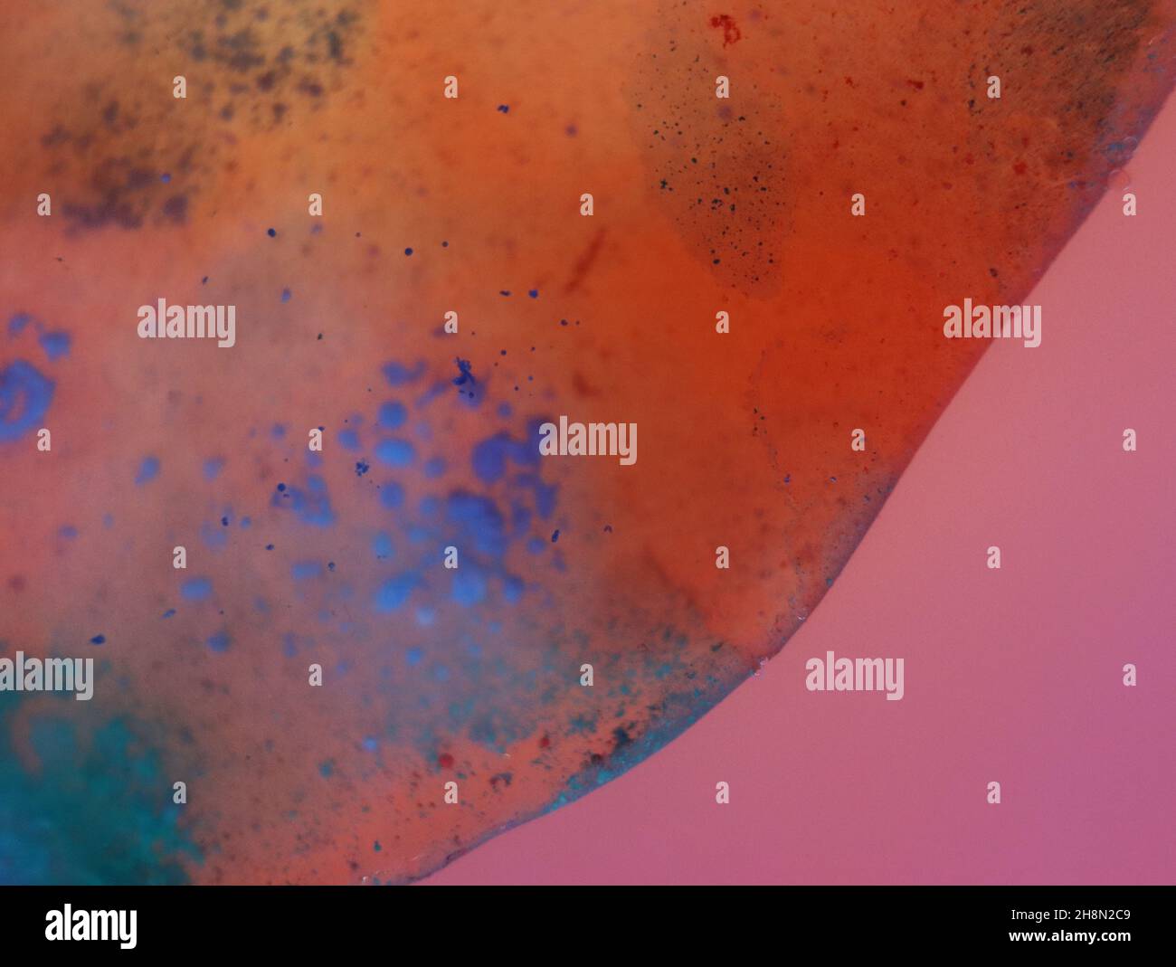 Abstract macro shot of small liquid particles in blue and orange on the ...
