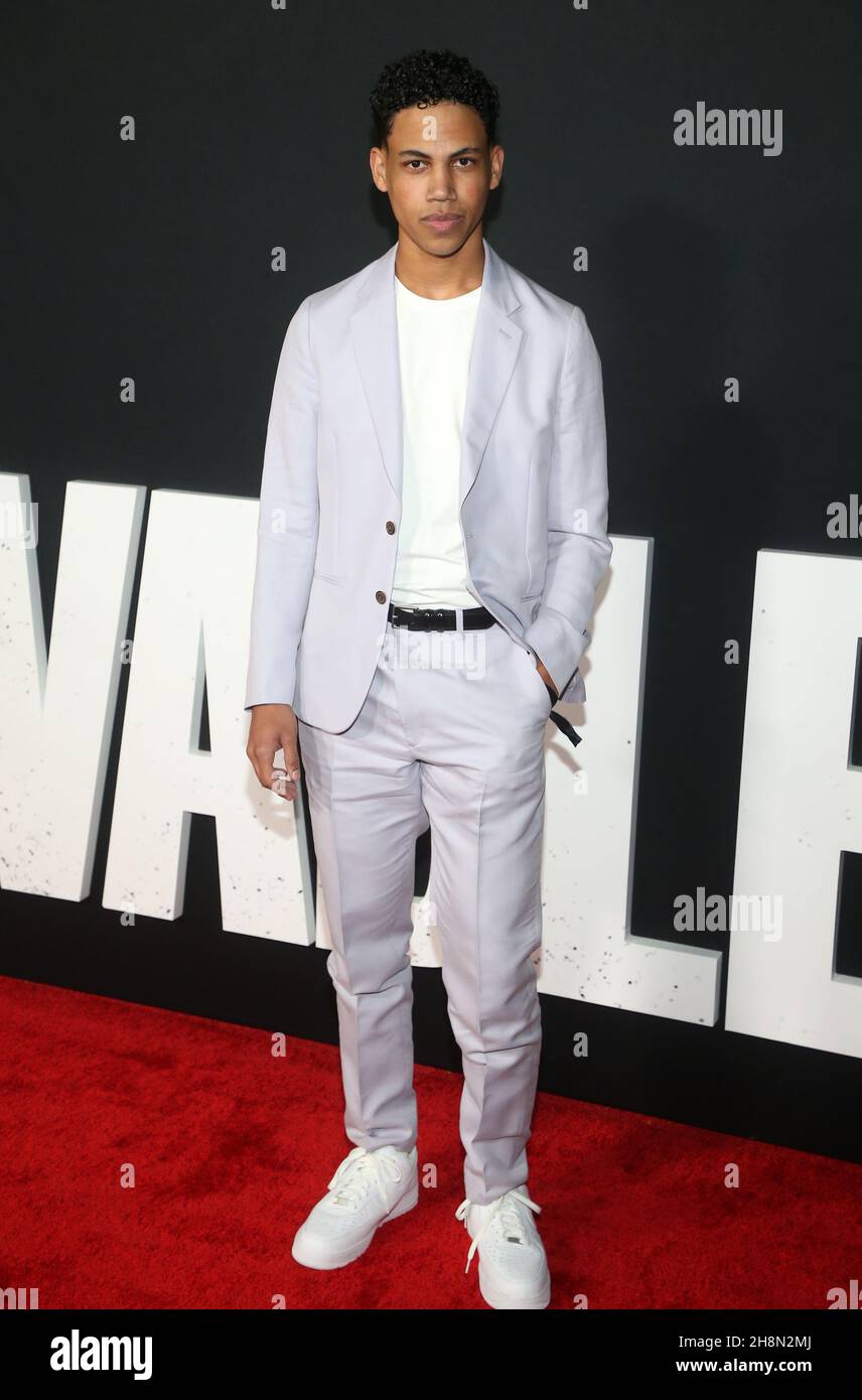 Jude wilson hi-res stock photography and images - Alamy