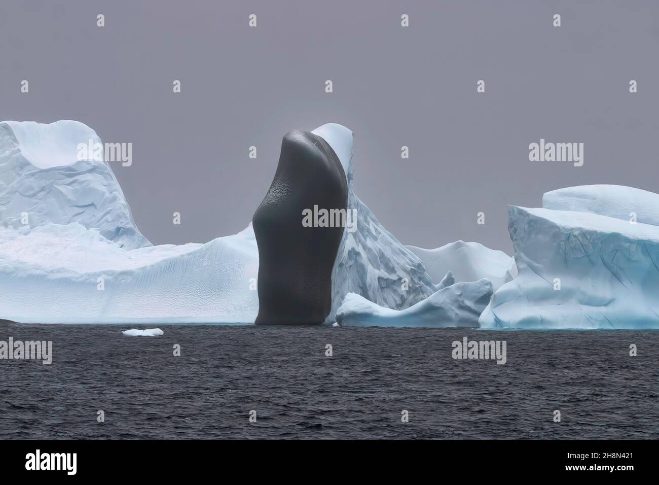 Icebergs, black iceberg with sediment inclusions, South Atlantic ...