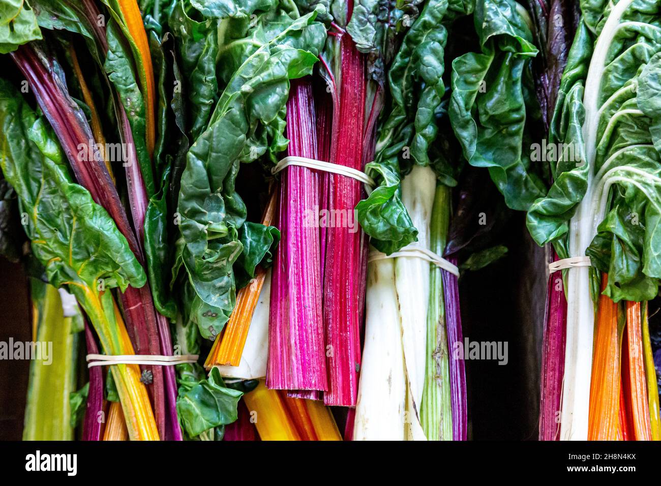 A Full Frame Photograph of Vibrant Rainbow Chard Stock Photo - Alamy