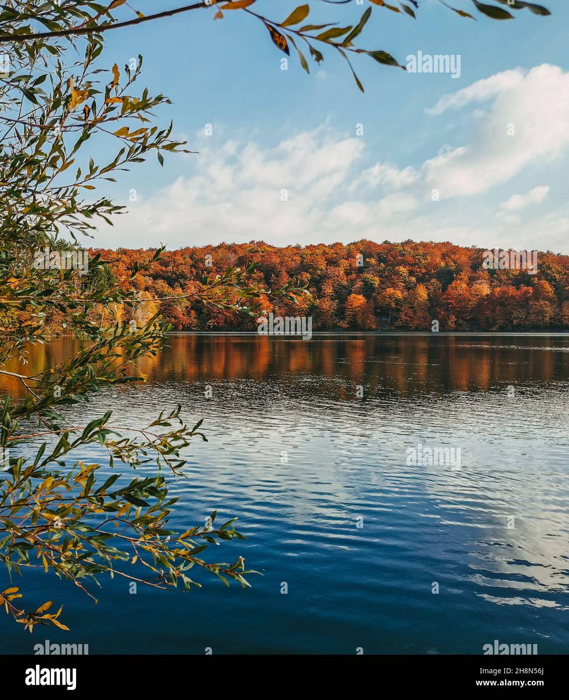 Orange trees reflected on the lake at famous Plitvice Lakes National ...
