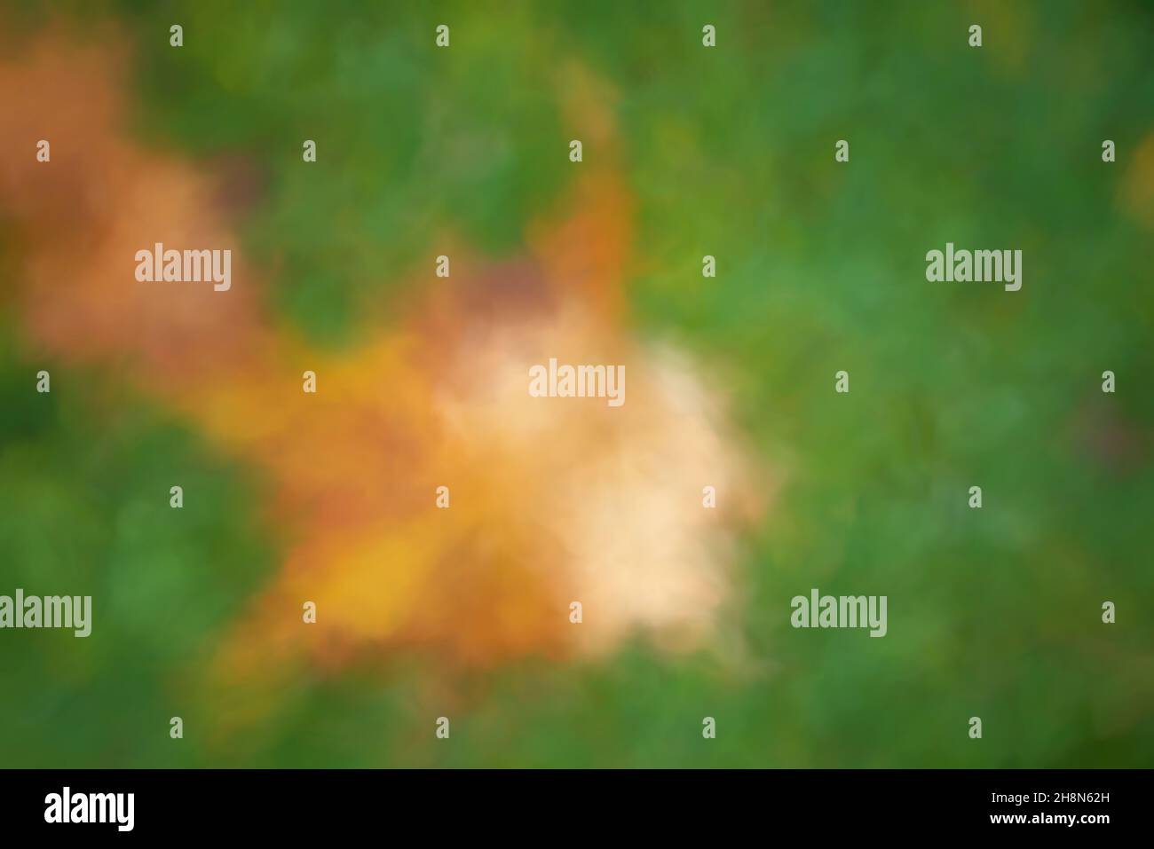 Abstract blurred background, blurred background effect Stock Photo - Alamy