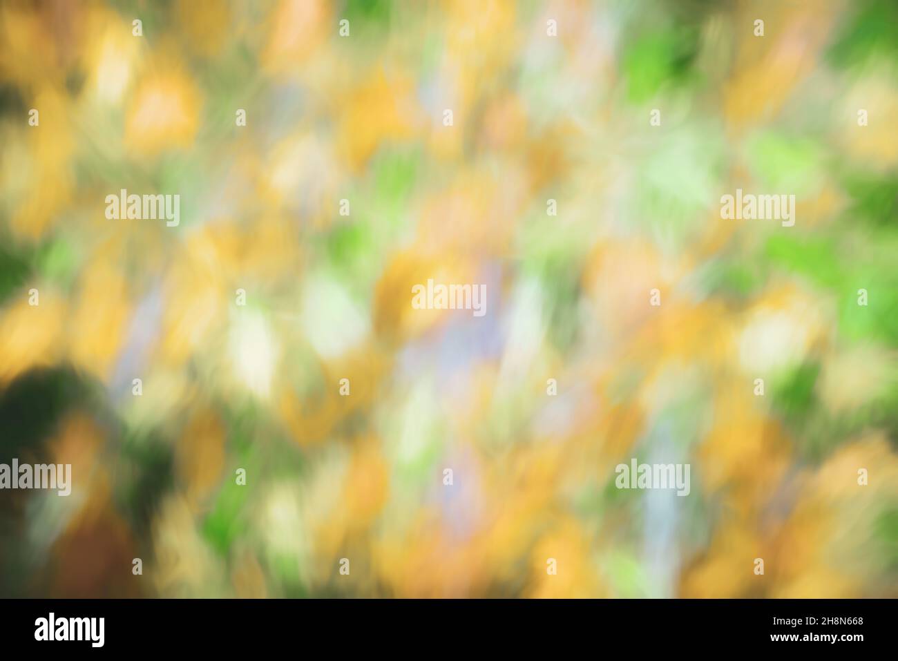 Abstract blurred background, blurred background effect Stock Photo - Alamy