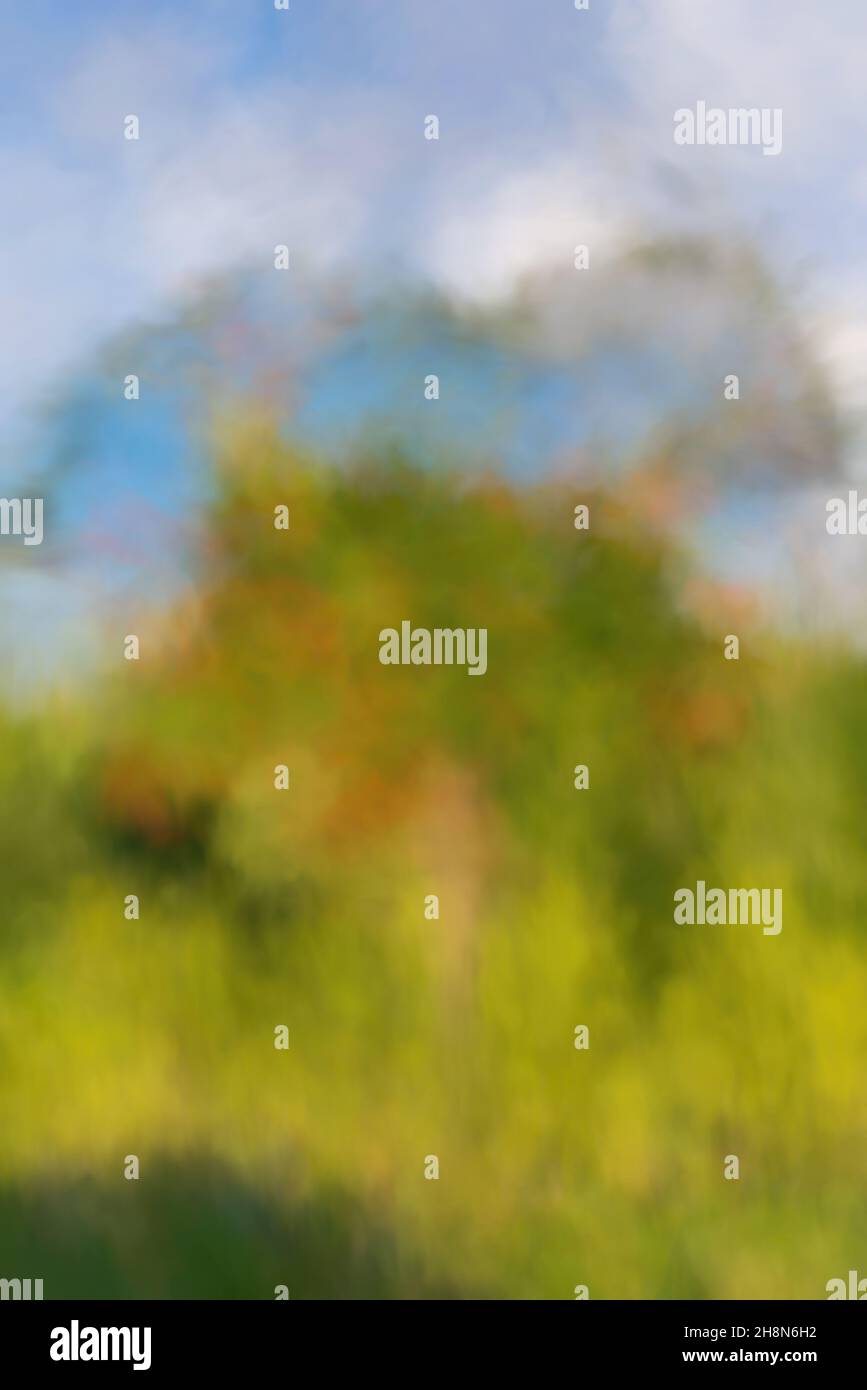 Abstract blurred background, blurred background effect Stock Photo - Alamy