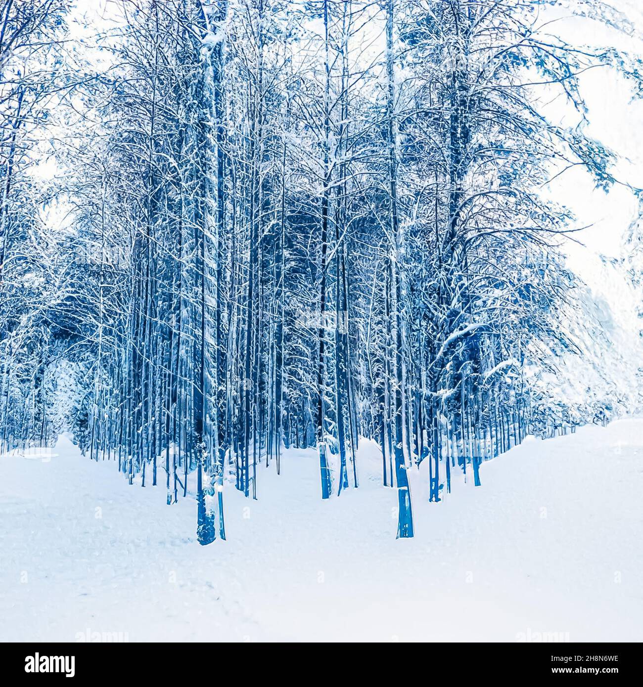 Winter wonderland and Christmas landscape. Snowy forest, trees covered ...