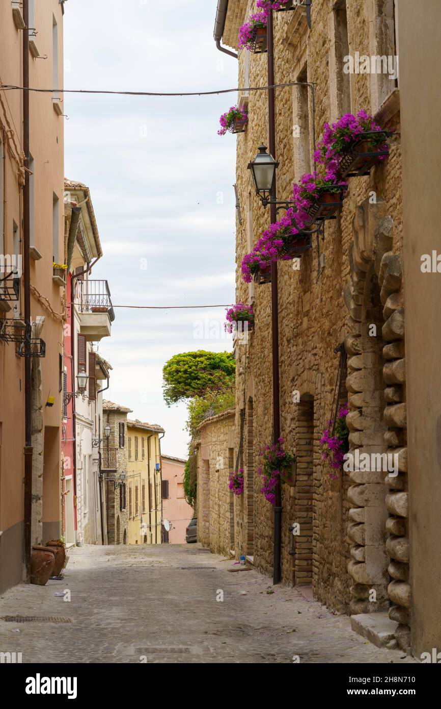 Cingoli, Ancona province, Marche, Italy: historic buildings: a typical ...