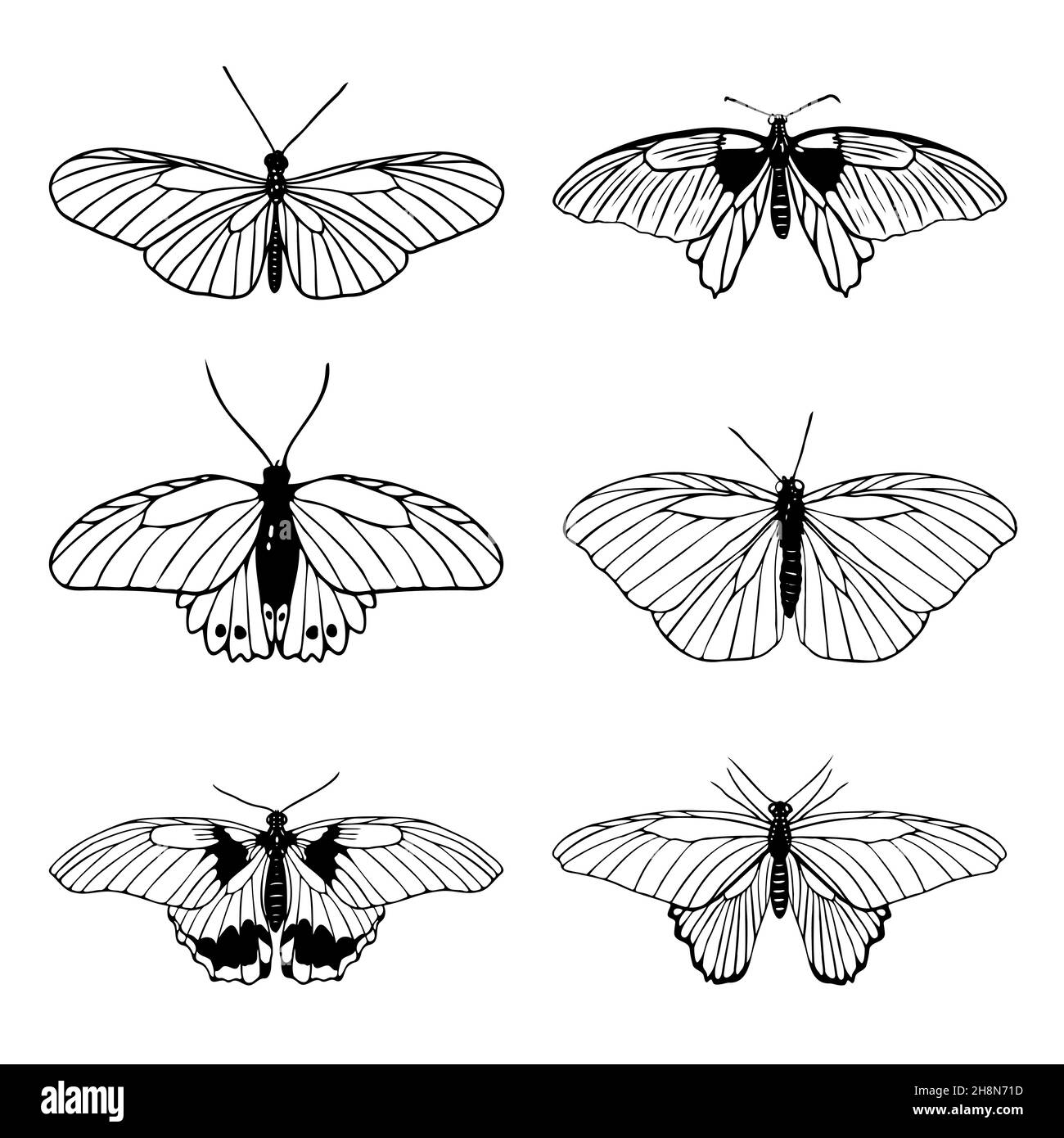Set of hand drawn black outline butterflies on white background ...