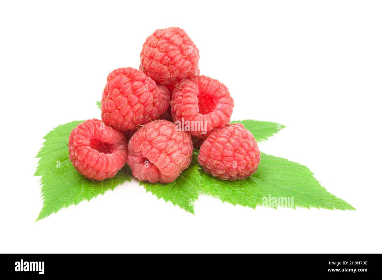 Raspberry Fruit isolated on a white background cutout Stock Photo - Alamy