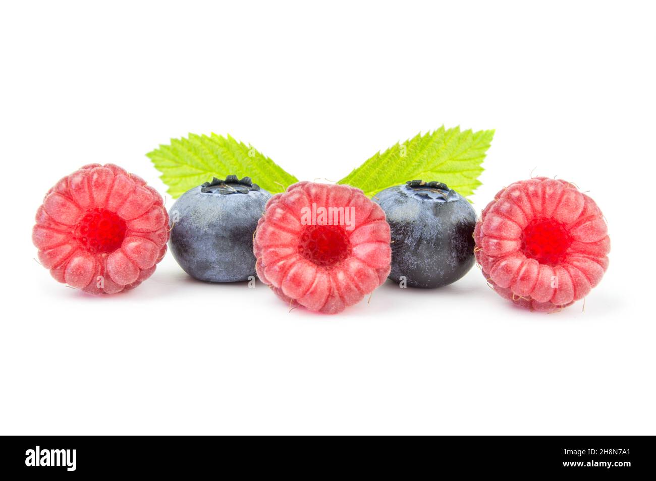 Some fresh blueberries and raspberry in row isolated on white ...