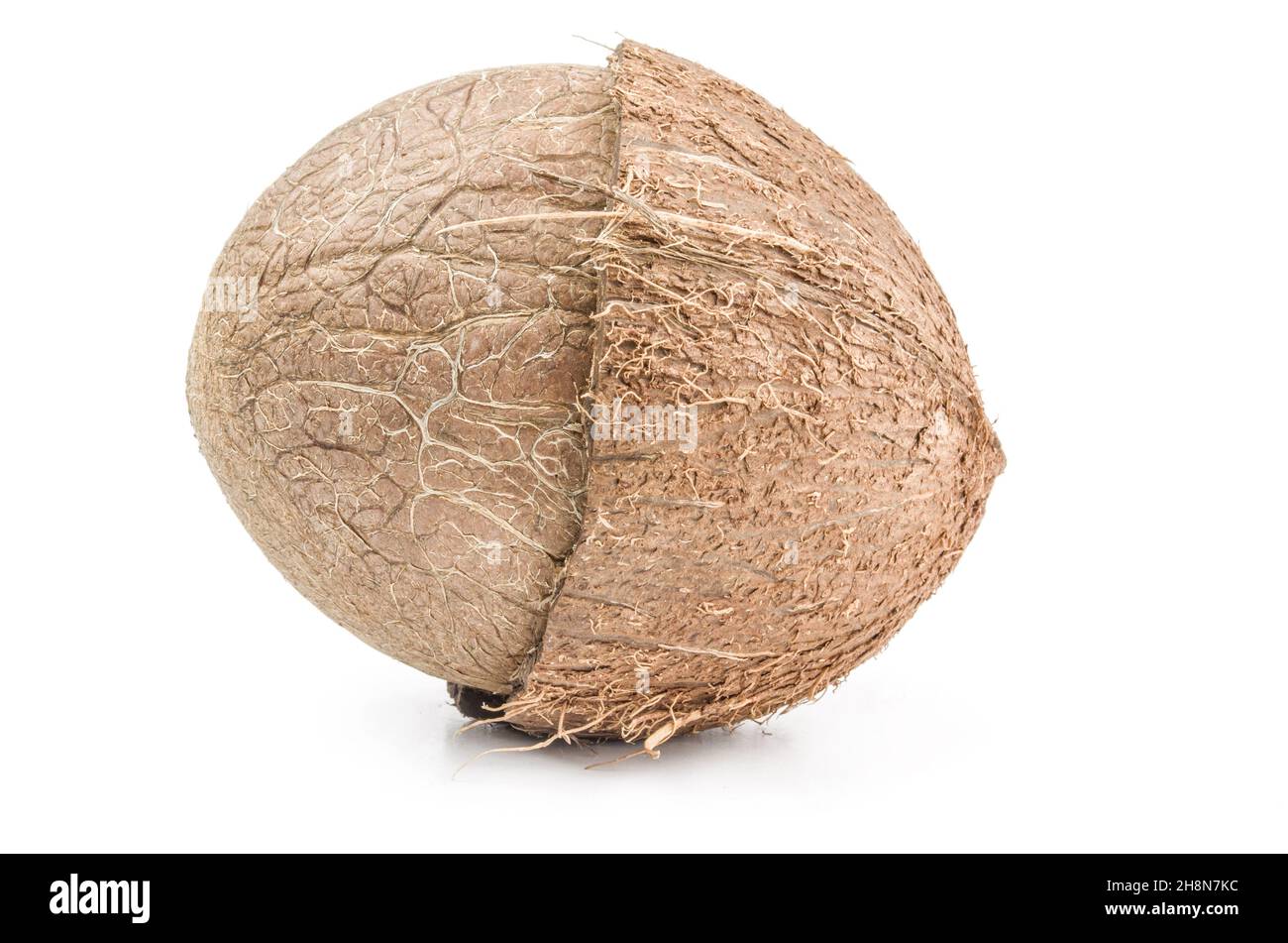 Cokernut Cut Out Stock Images & Pictures - Alamy