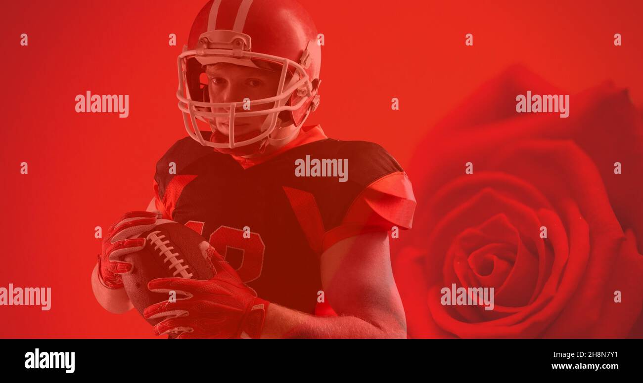 Portrait of athlete holding american football's ball over red rose ...
