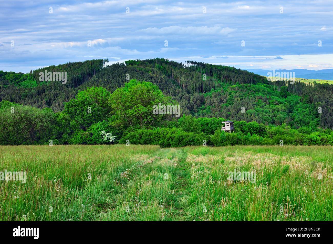 High stand hi-res stock photography and images - Alamy