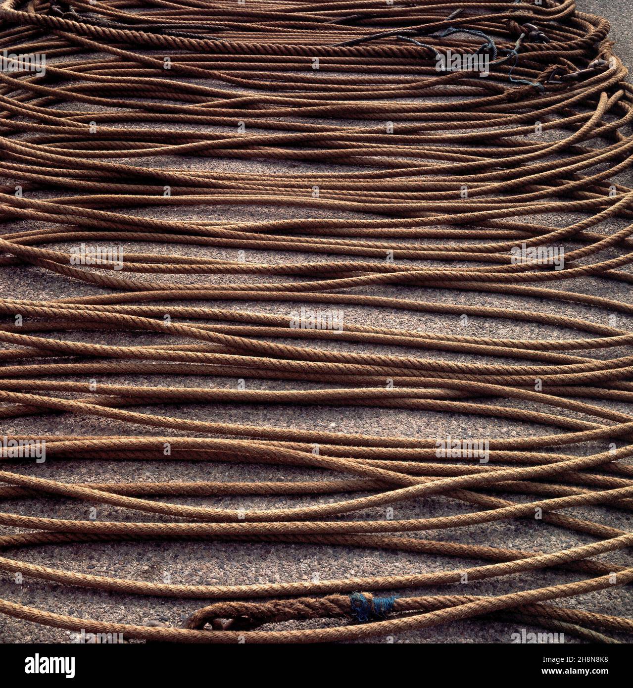 Cuerda de pesca hi-res stock photography and images - Alamy