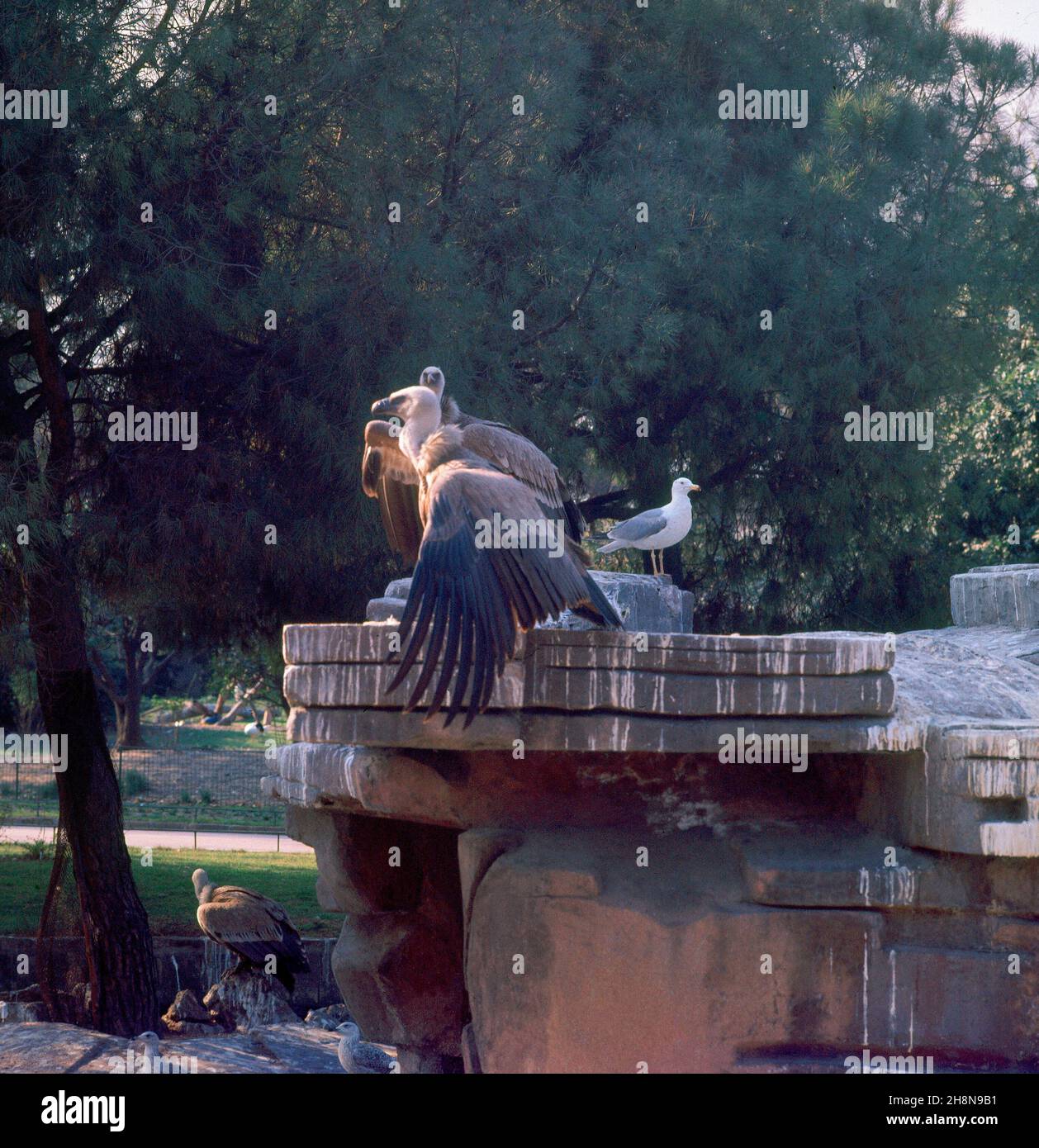 Zoo location hi-res stock photography and images - Alamy