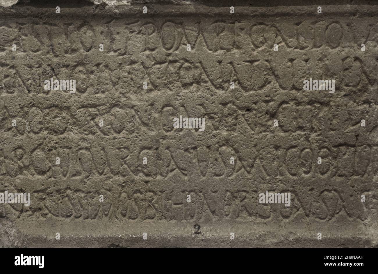 Cestius gallus hi-res stock photography and images - Alamy