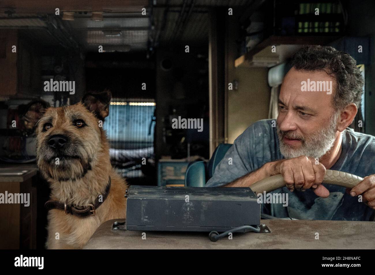 Tom hanks in finch hi-res stock photography and images - Alamy