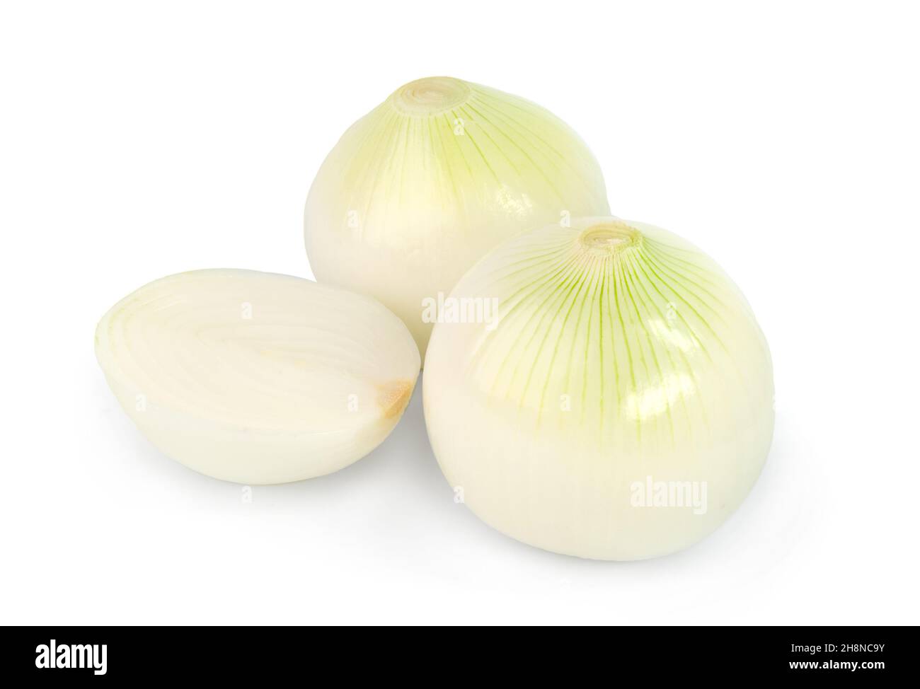 White onion isolated on white background Stock Photo - Alamy
